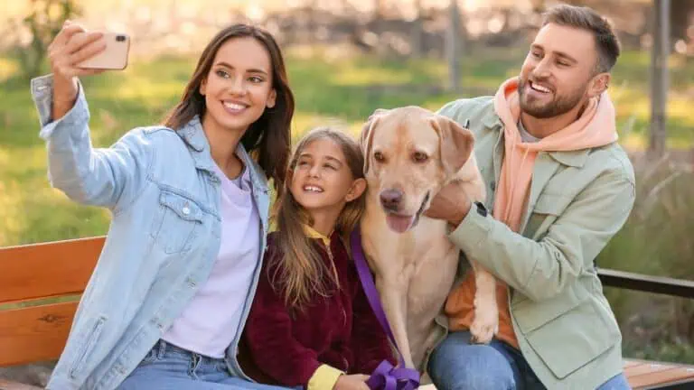 Samojed – Charakteristika a Fotky Plemene | ZOOLO_CZ