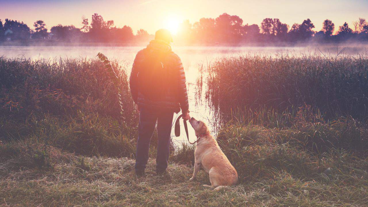 Základní tipy pro pohodlné venčení psa | ZOOLO_CZ