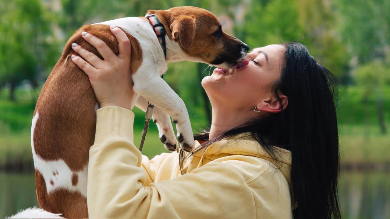 Proč vám pes olizuje ruce, nohy a obličej? | ZOOLO_CZ