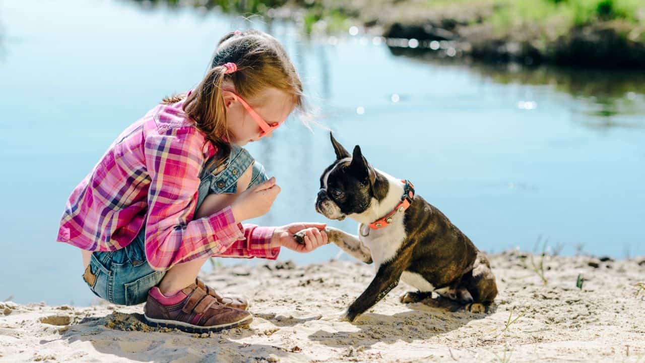 Pes a dítě – Jak navázat bezproblémový vztah? | ZOOLO_CZ